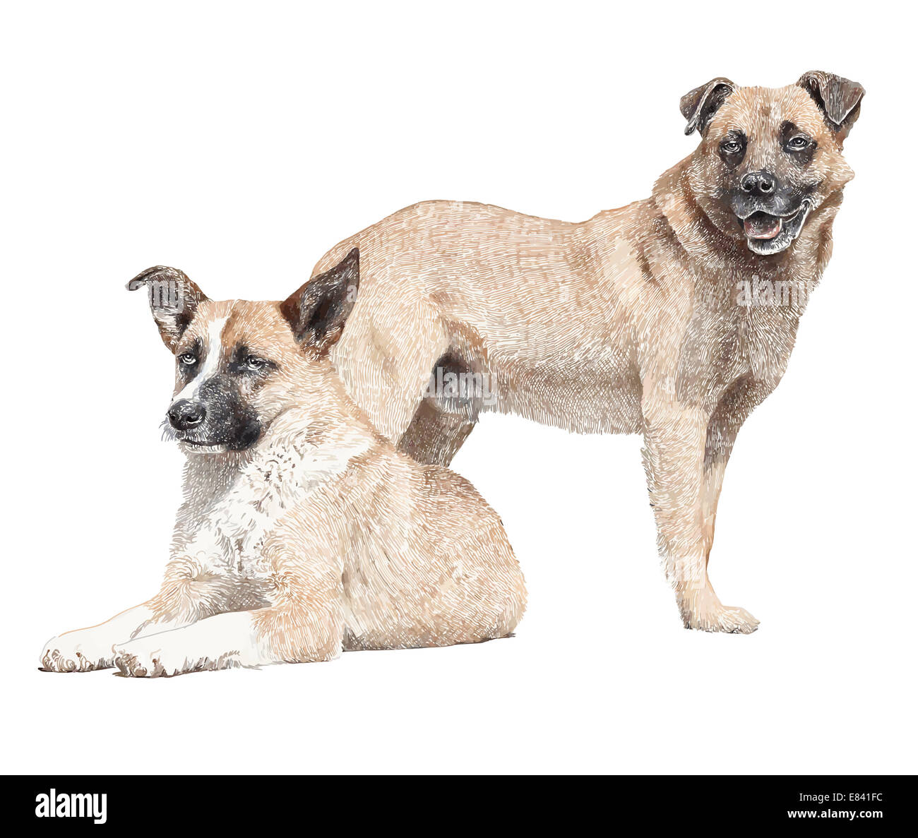 drawing of two dogs Stock Photo - Alamy