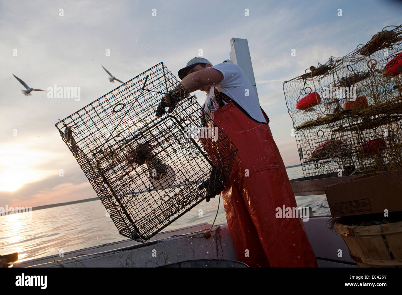 Crab Fisherman, Eastern Shore, Maryland, USA Stock Photo - Alamy