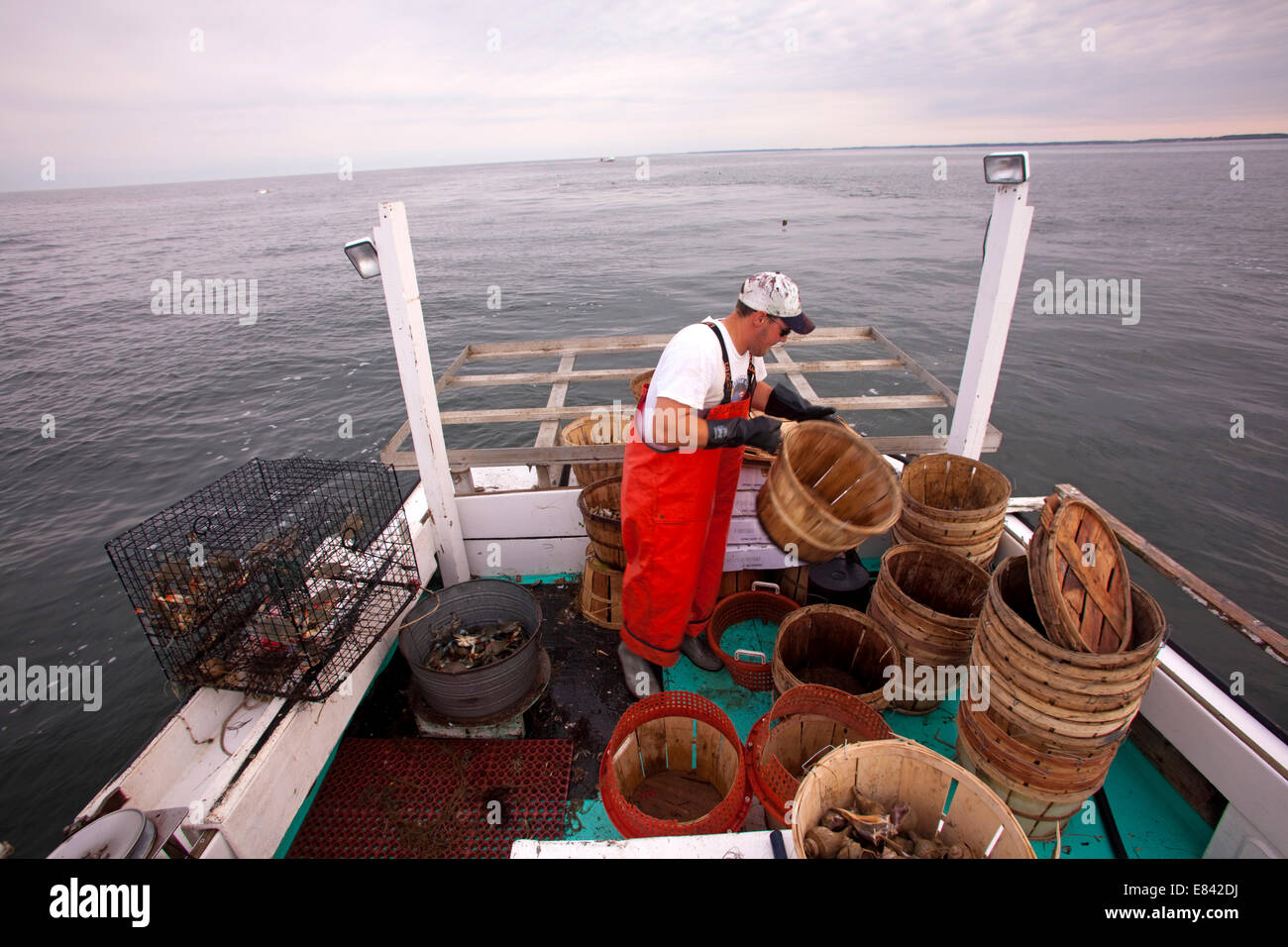 Fishermen stacking bushels on board fishing boat, Chesapeake Bay ...