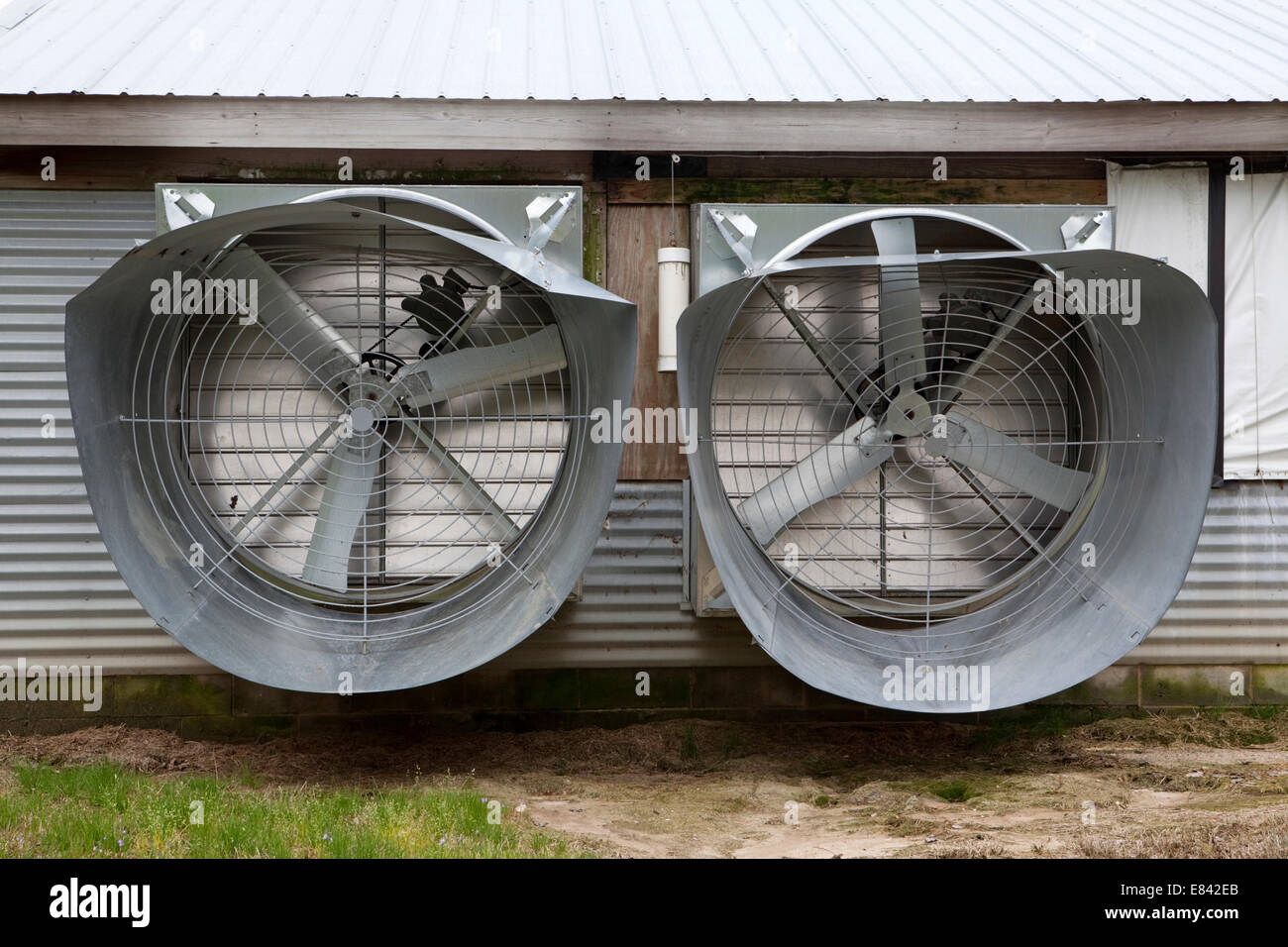 Poultry unit hi-res stock photography and images - Alamy