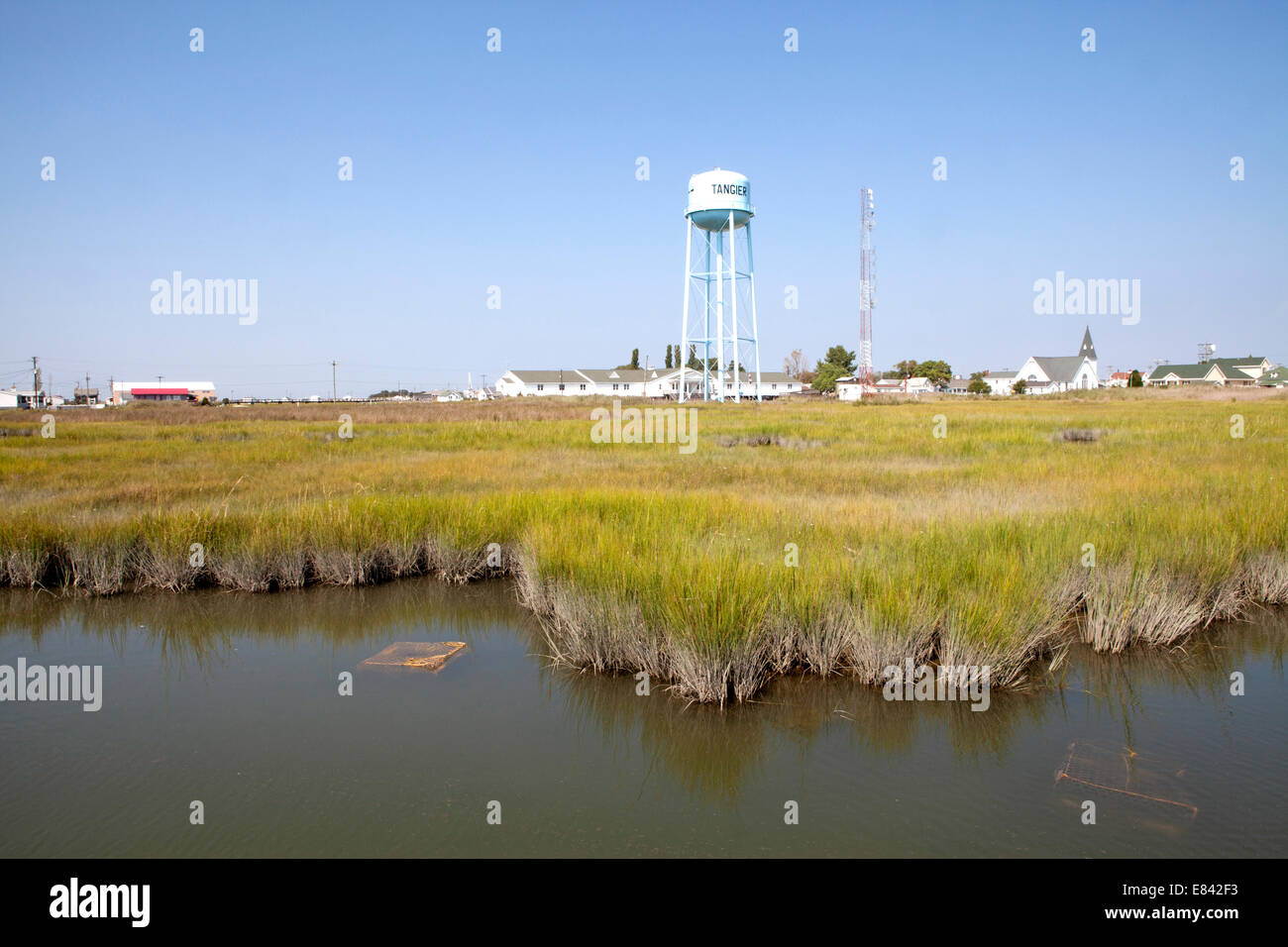 Discarded lobster pots in shallow marsh water and village water tower ...