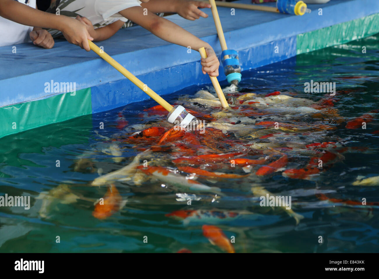 Koi fish milk bottle hi-res stock photography and images - Alamy