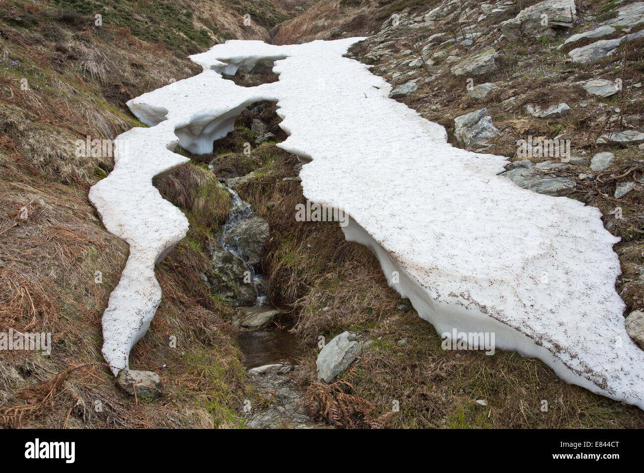 Snowpatch hi-res stock photography and images - Alamy