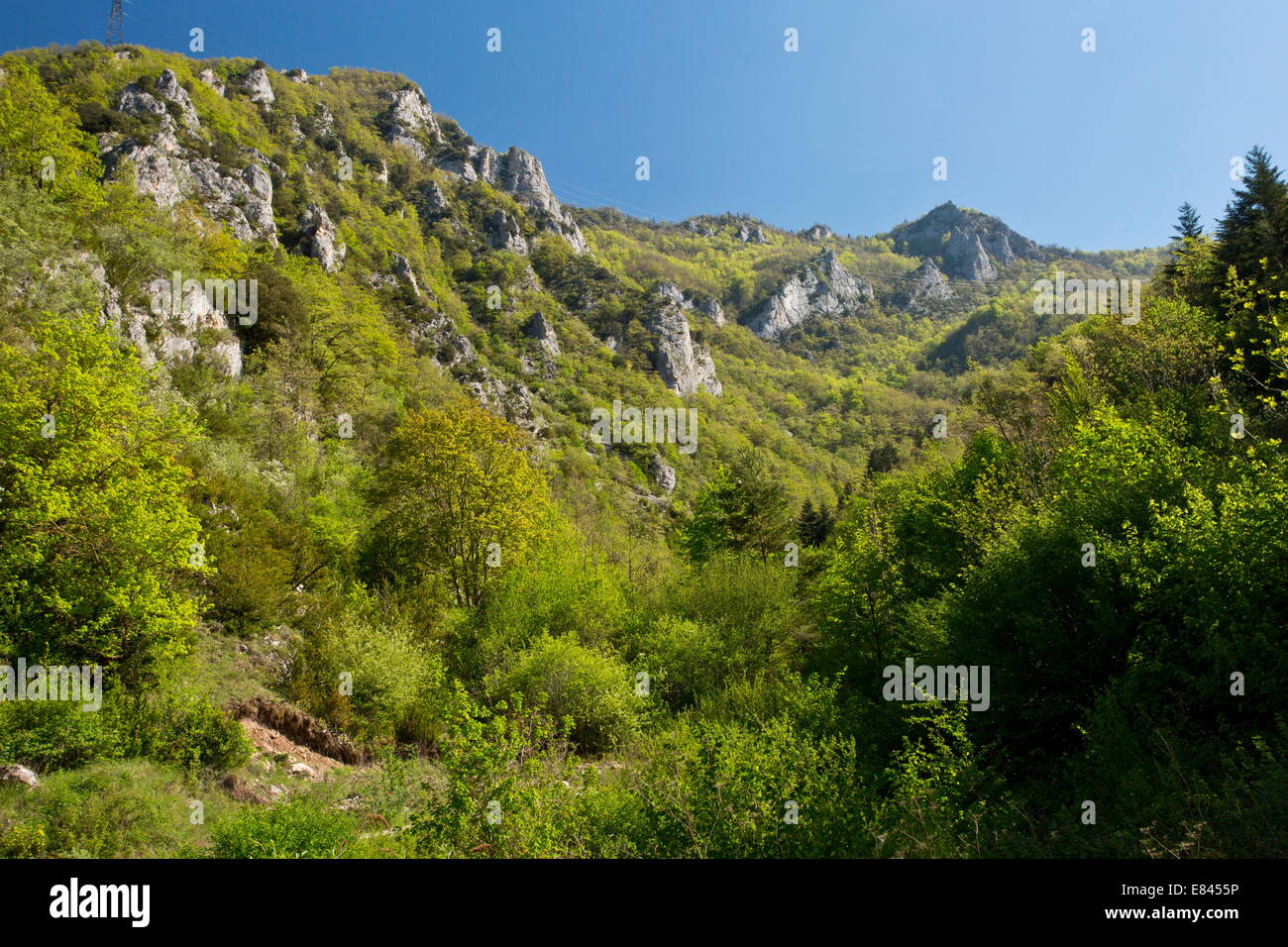 The Gorges de St George, limestone hills above Axat, eastern French ...