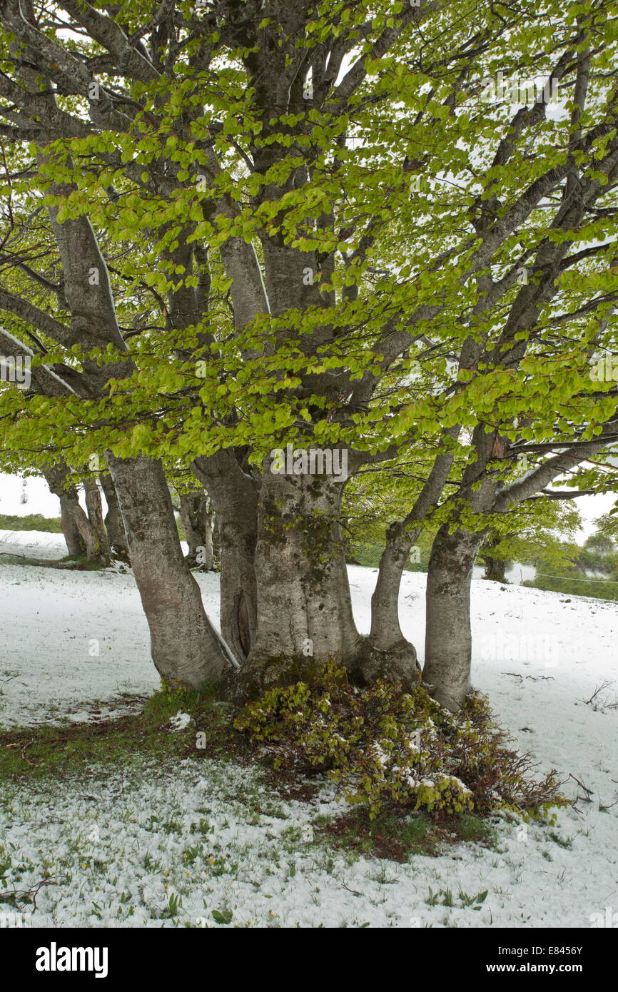 Monti sibillini hi-res stock photography and images - Alamy