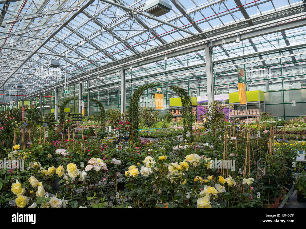 Large glass hall with plants in a garden center Stock Photo - Alamy