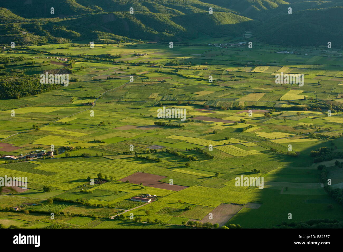 Field pattern hi-res stock photography and images - Alamy