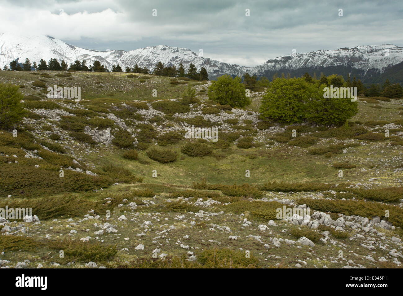 A doline or swallow-hole on limestone in Gran Sasso National Park ...