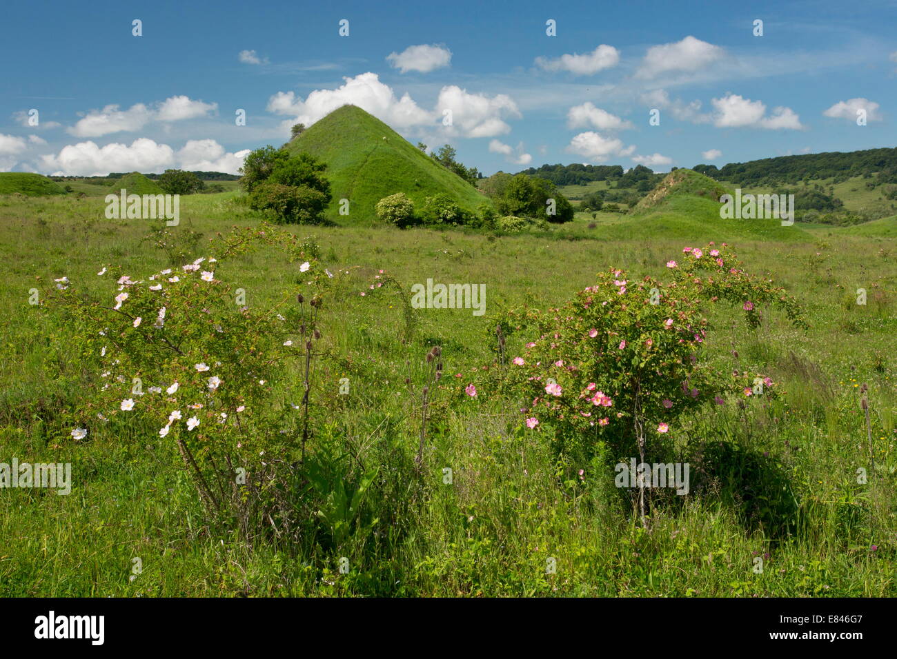 Tump tumps hi-res stock photography and images - Alamy