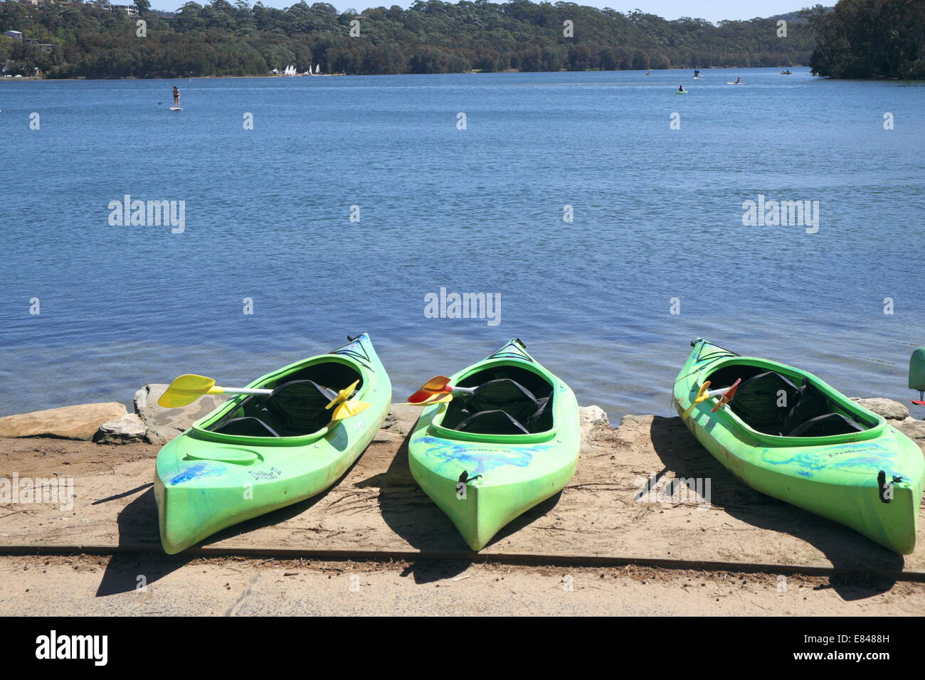 green kayaks canoes for hire by narrabeen lake,Sydney,Australia Stock ...
