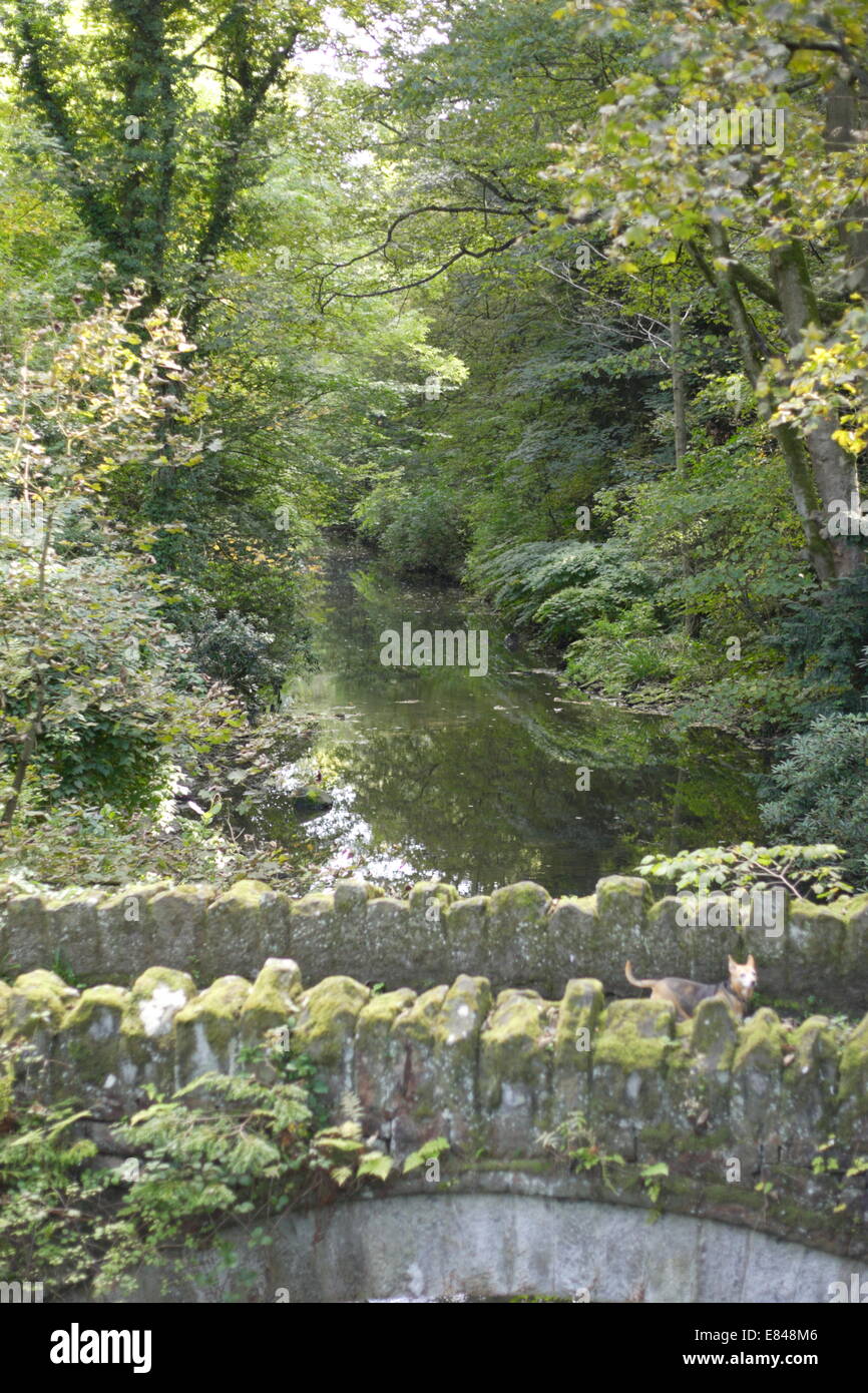 Country stream hi-res stock photography and images - Alamy