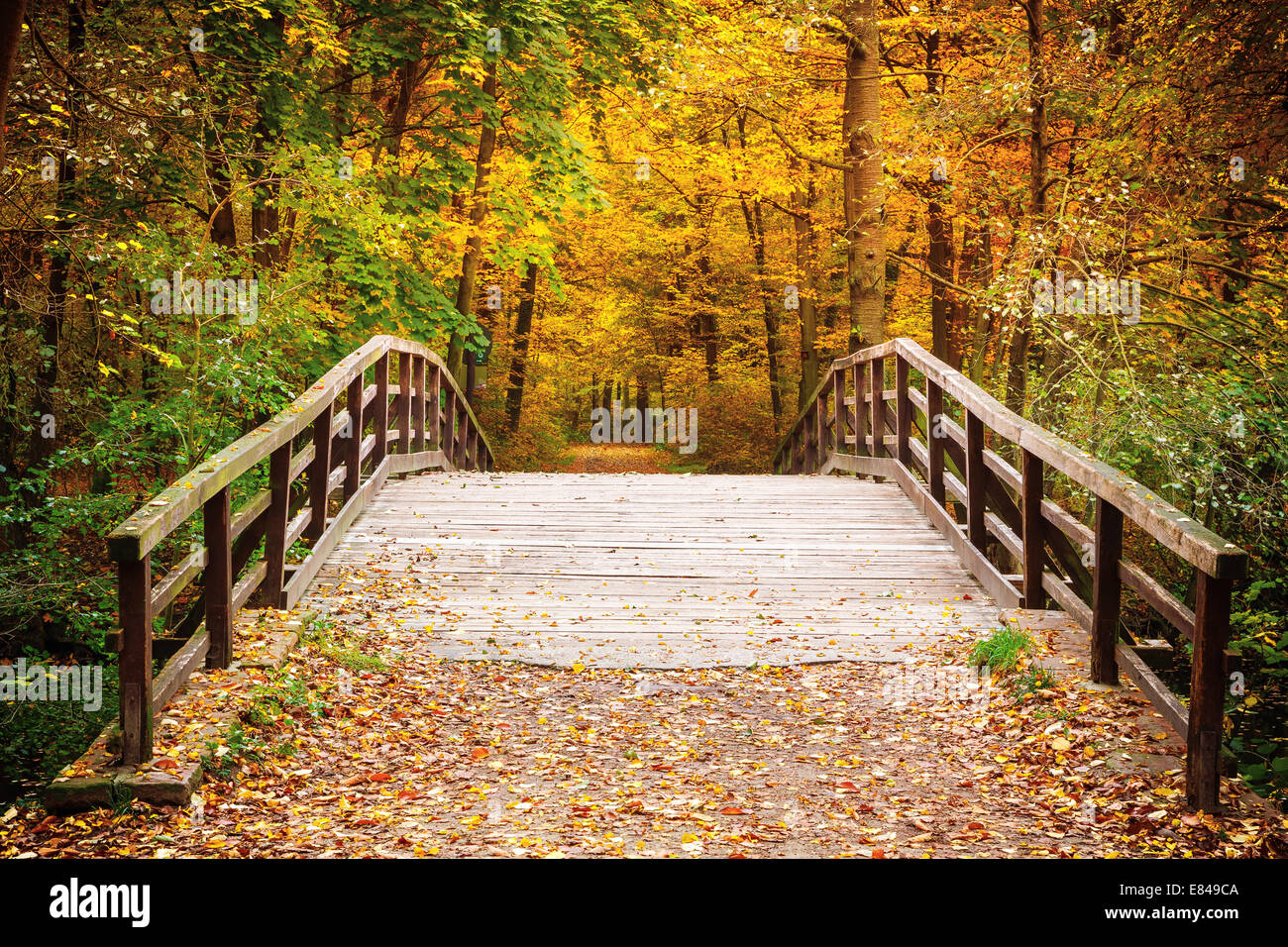 Bridge in autumn forest Stock Photo - Alamy