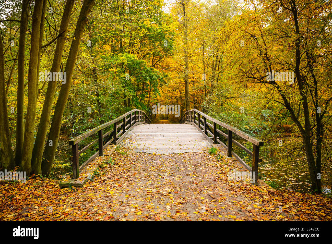 Bridge autumn fall hi-res stock photography and images - Alamy