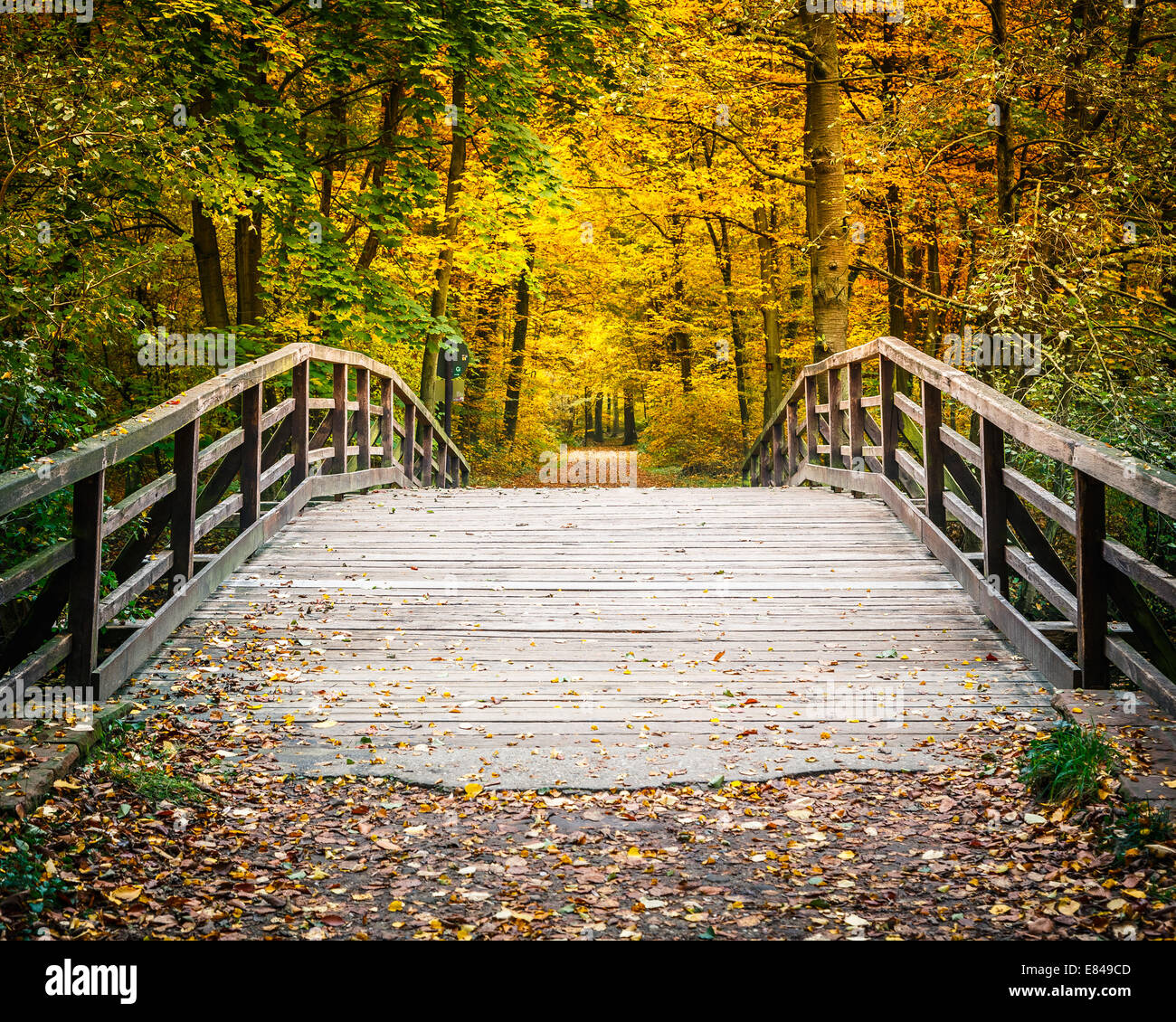 Bridge in autumn forest Stock Photo - Alamy