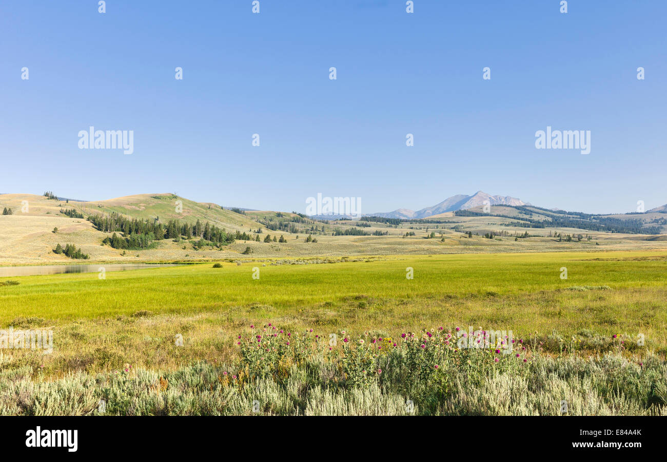 Yellowstone scenic vista hi-res stock photography and images - Alamy
