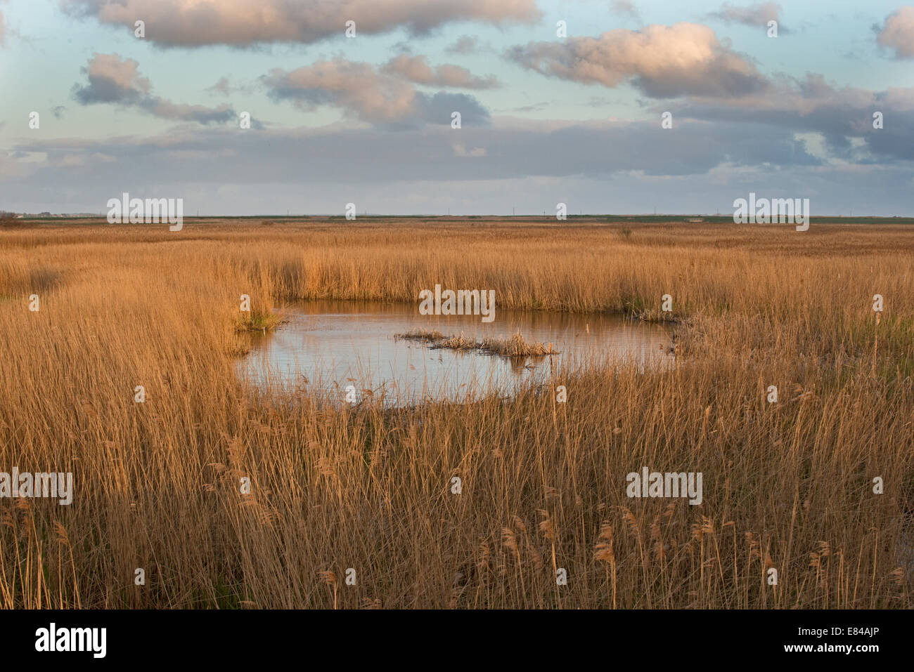 Cley Marshes Norfolk Wildlife Trust Reserve Norfolk winter Stock Photo ...