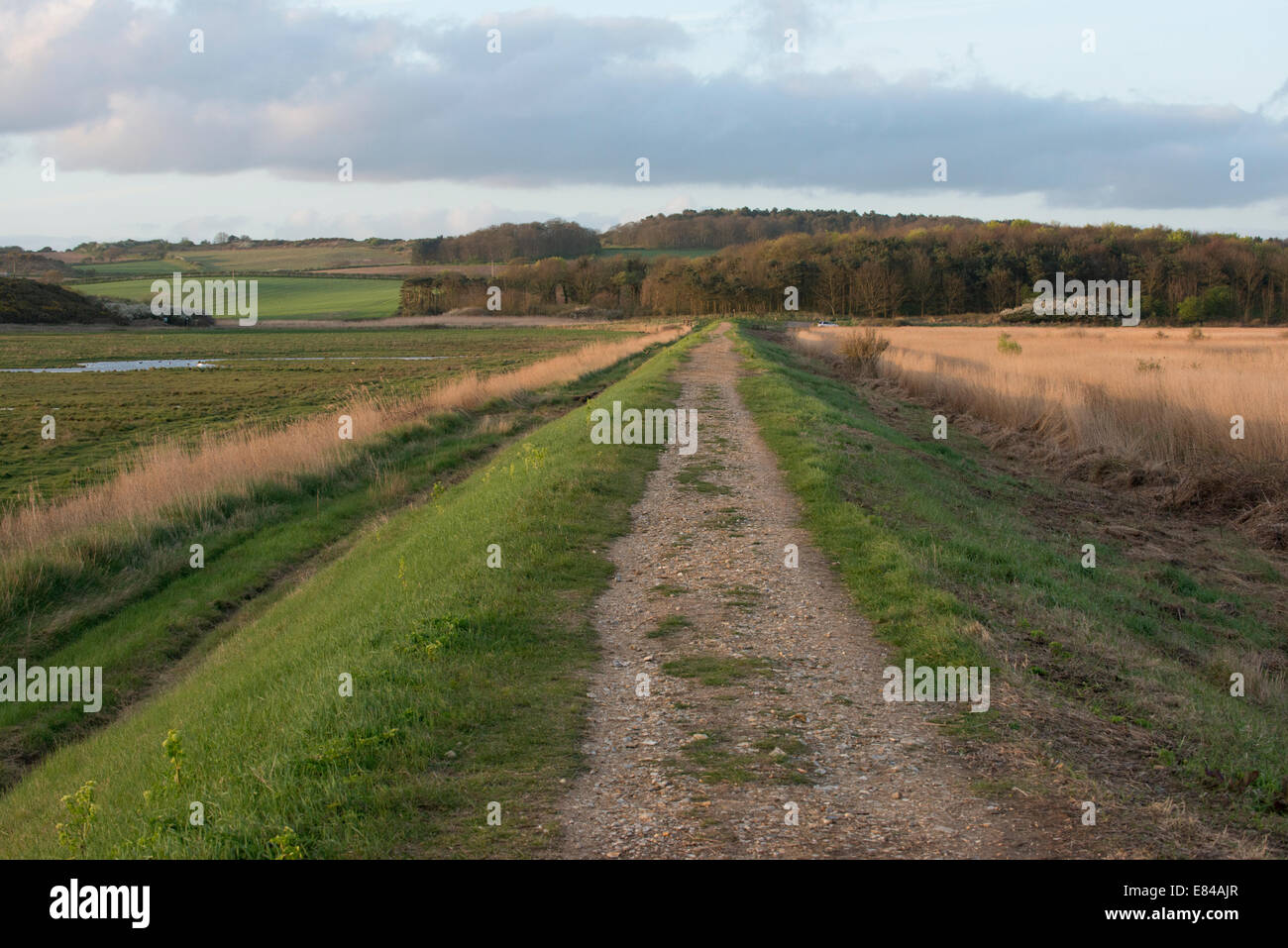 East Bank Cley Marshes Norfolk Wildlife Trust Reserve Norfolk Stock ...
