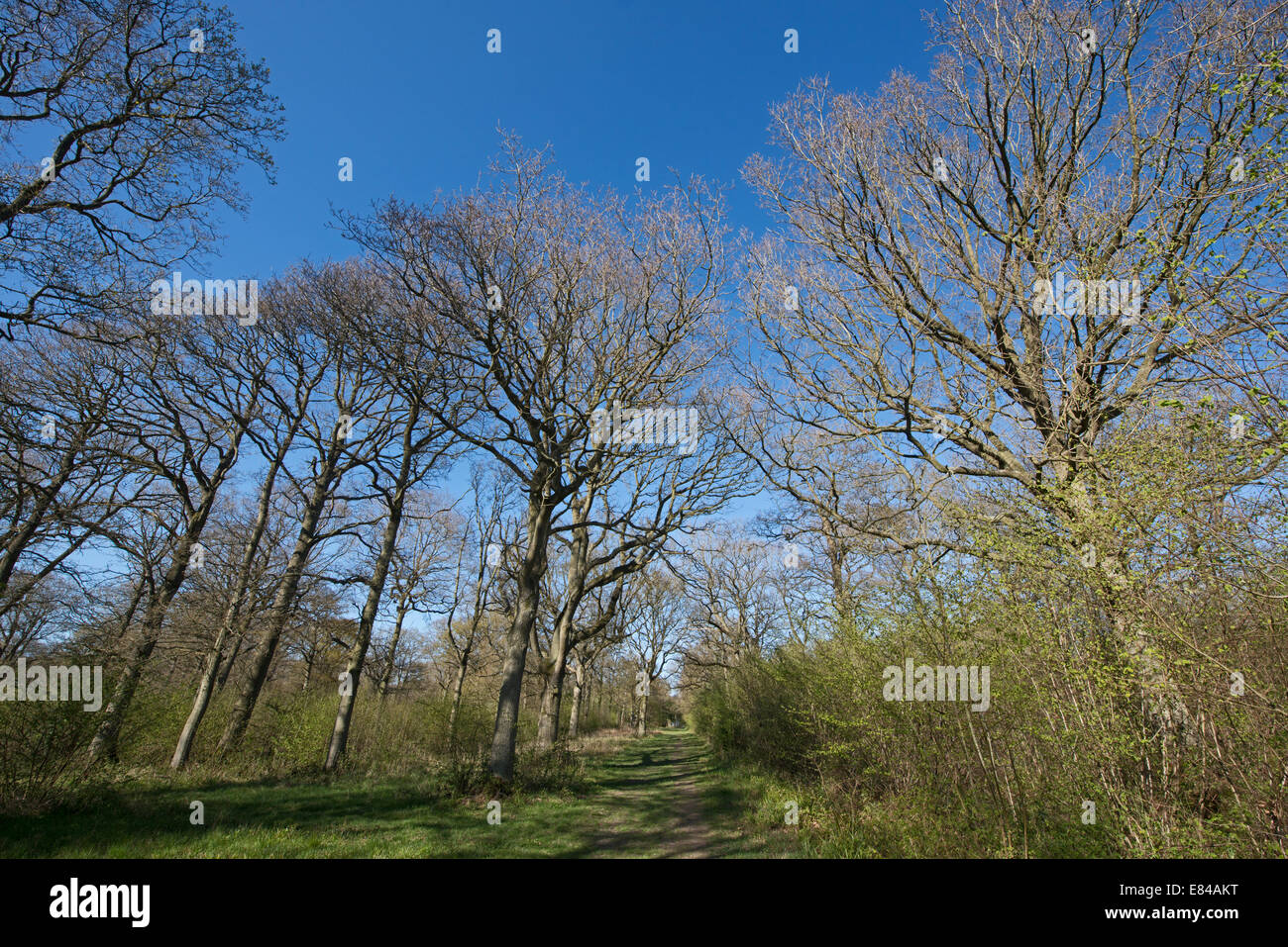 Foxley, norfolk hi-res stock photography and images - Alamy