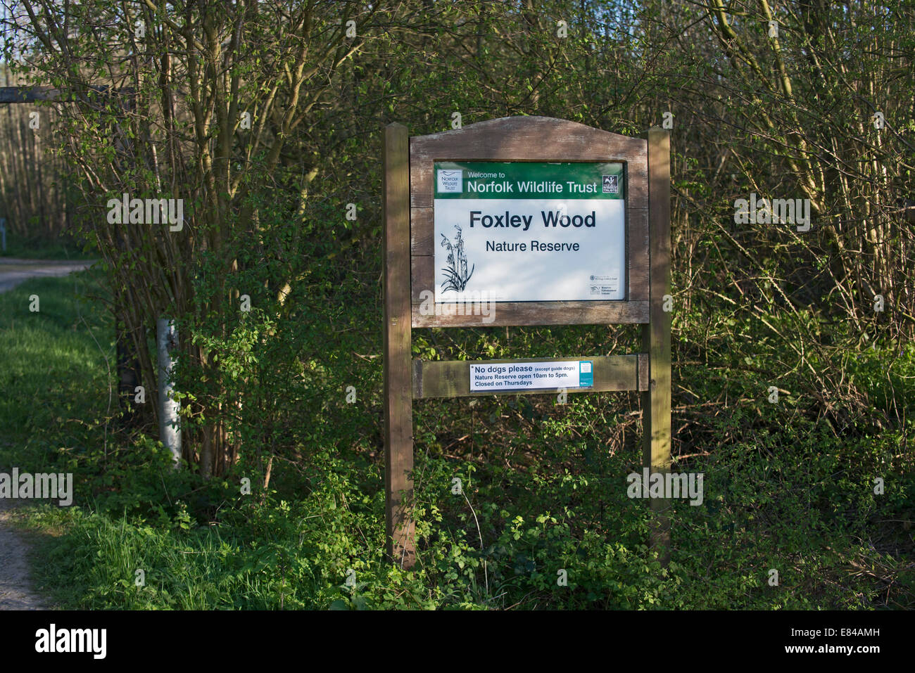 Foxley Wood Norfolk Wildlife Trust Reserve sign Norfolk Stock Photo - Alamy