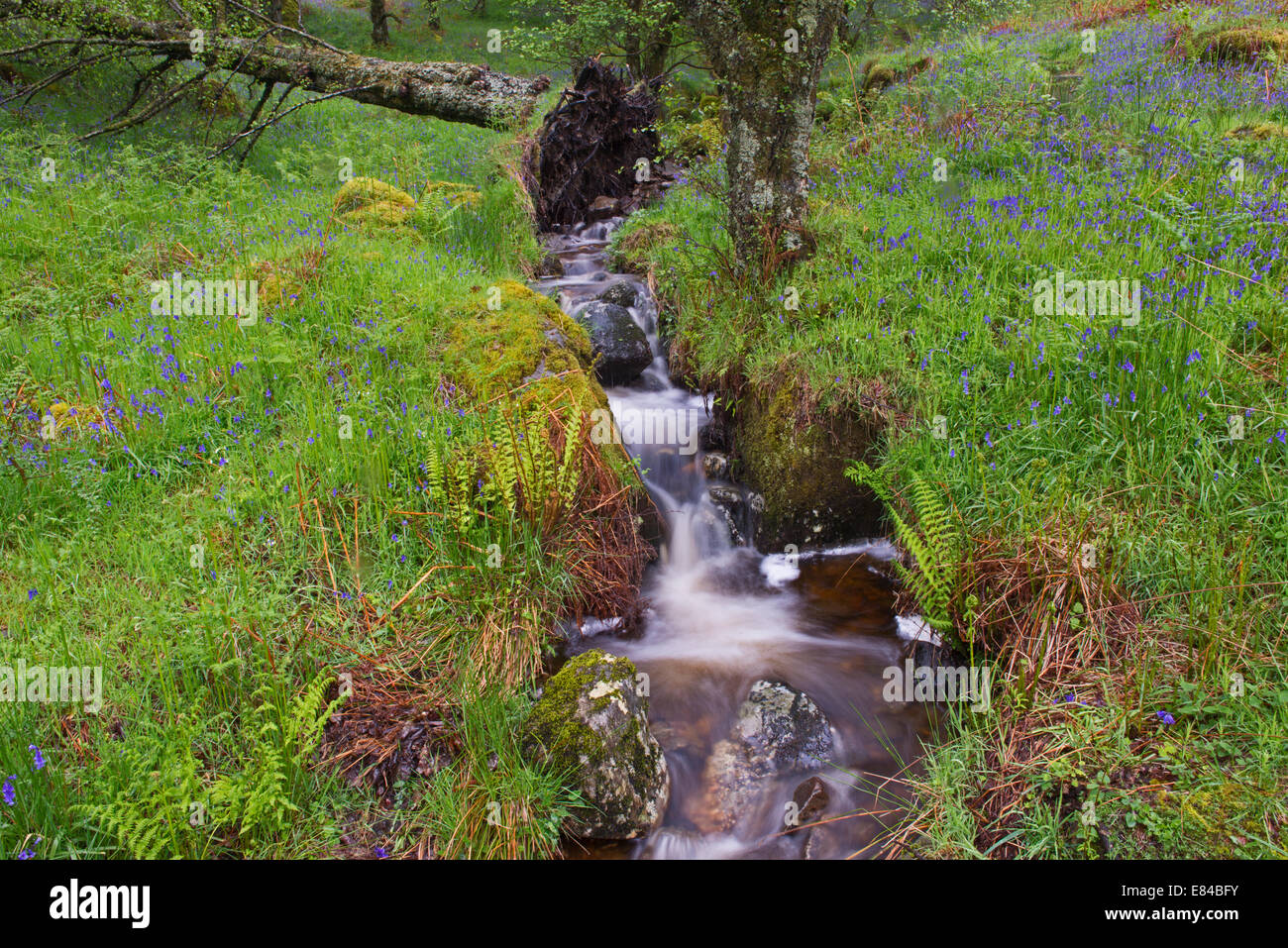 Stream waterdall spring hi-res stock photography and images - Alamy