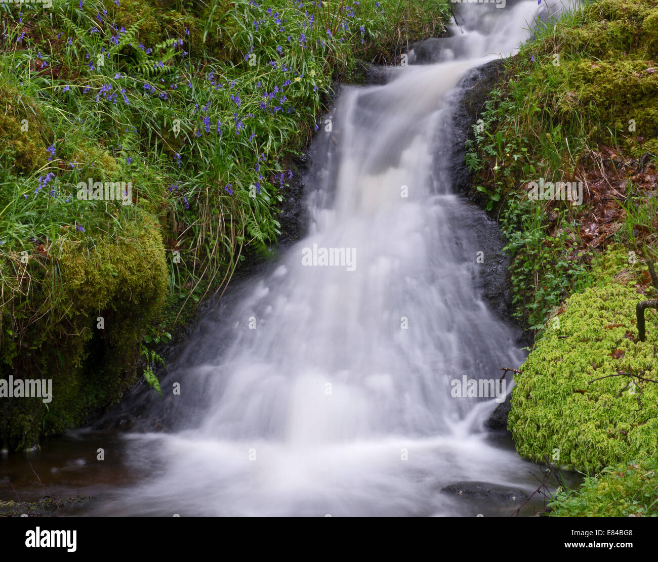 Waterfall at Inversnaid RSPB Reserve on shores of Loch Lomond Scotland ...