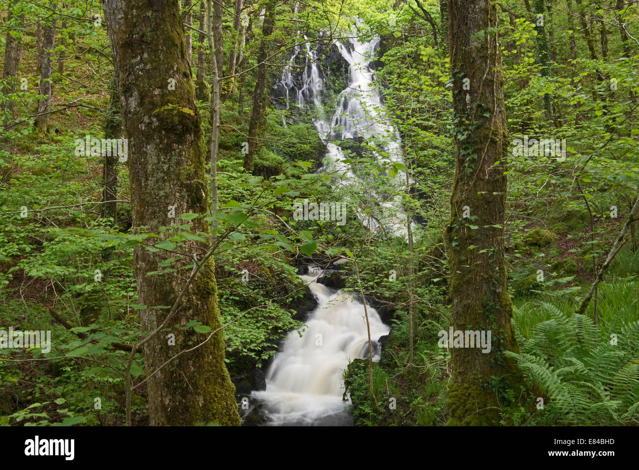 Wood of cree waterfall hi-res stock photography and images - Alamy