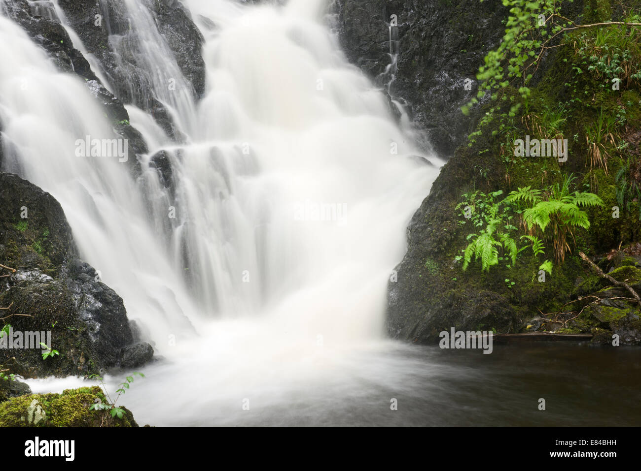 Wood of Cree waterfall in Wood of Cree RSPB Reserve Dumfries & Galloway ...