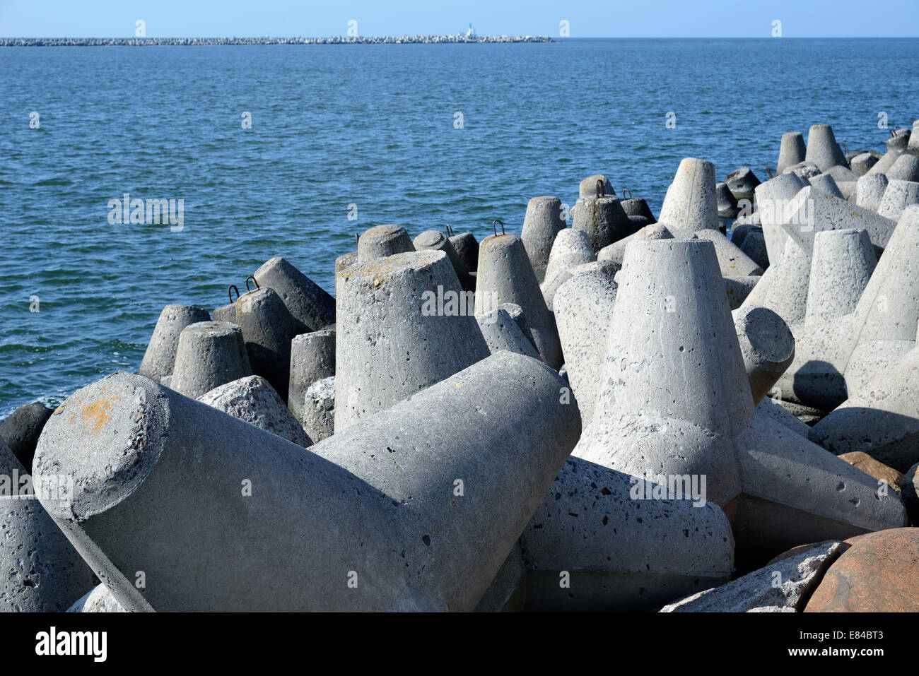 Tetrapods hi-res stock photography and images - Alamy