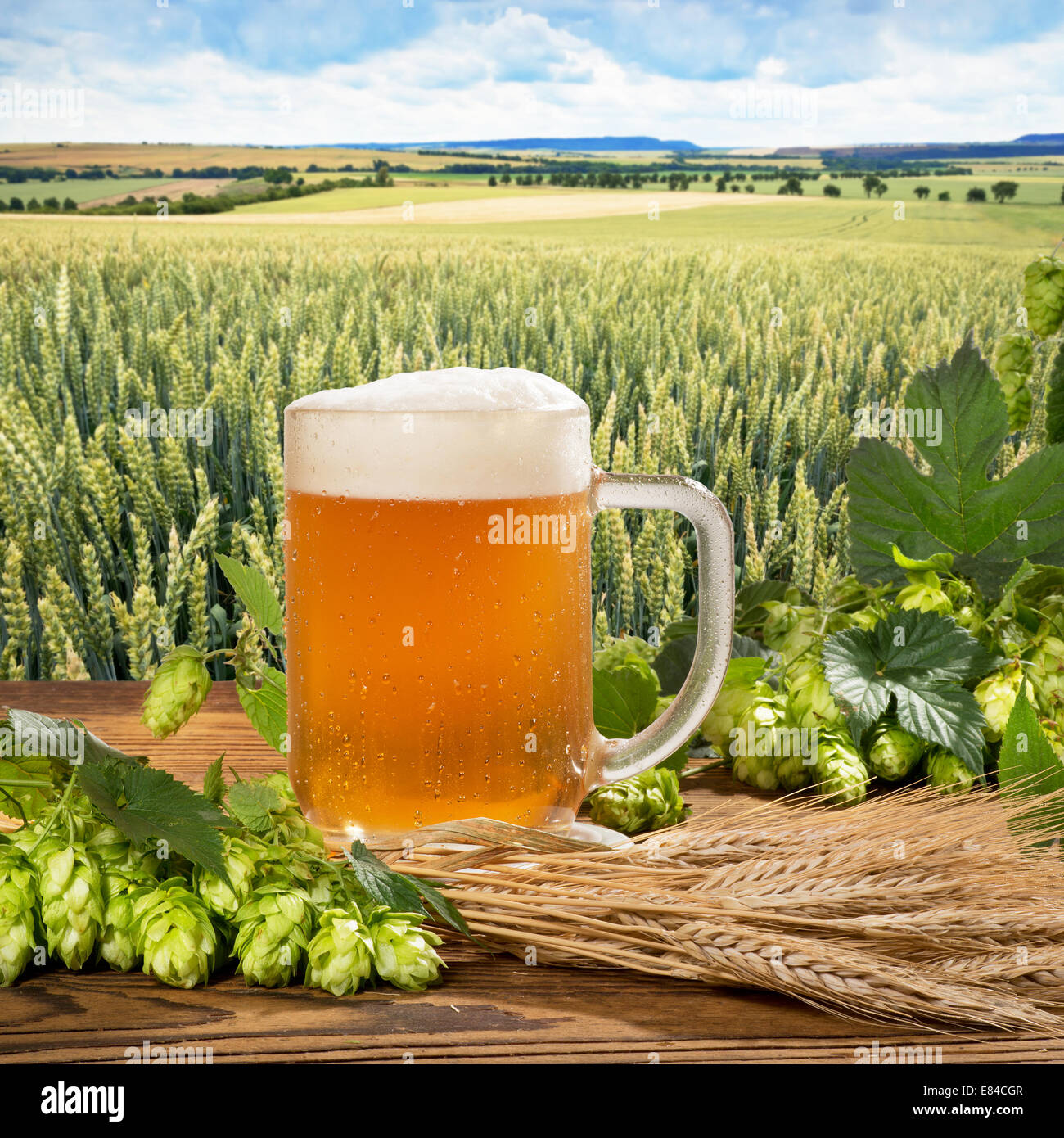Raw material for beer prodiction hi-res stock photography and images ...