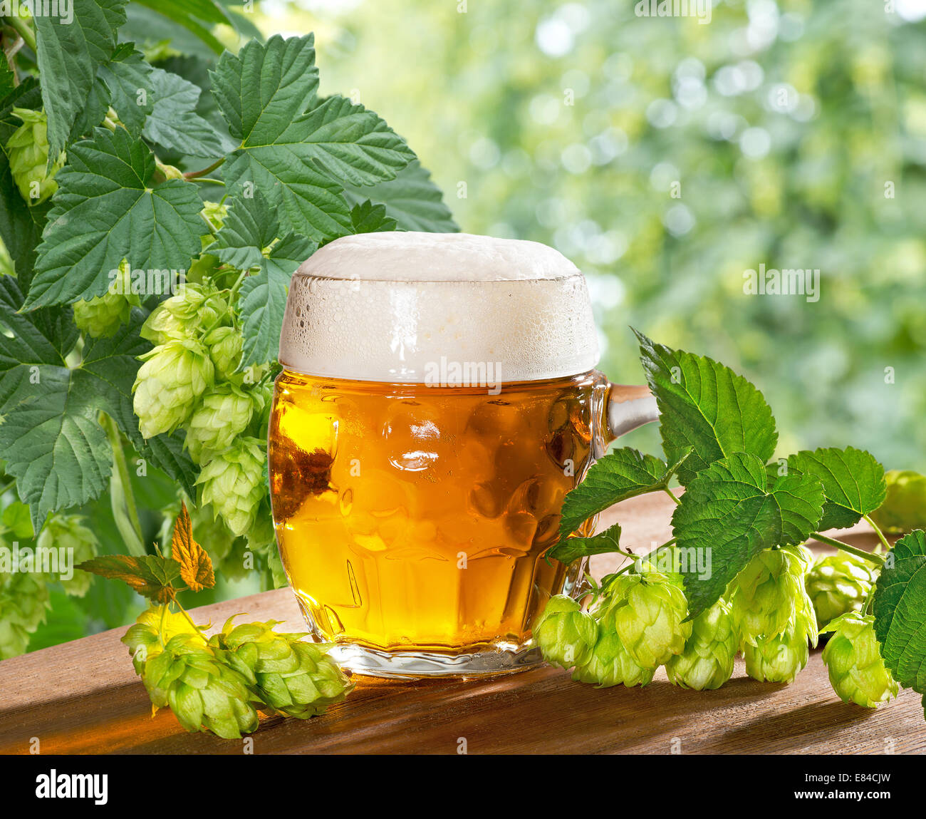 beer glass and hops Stock Photo - Alamy