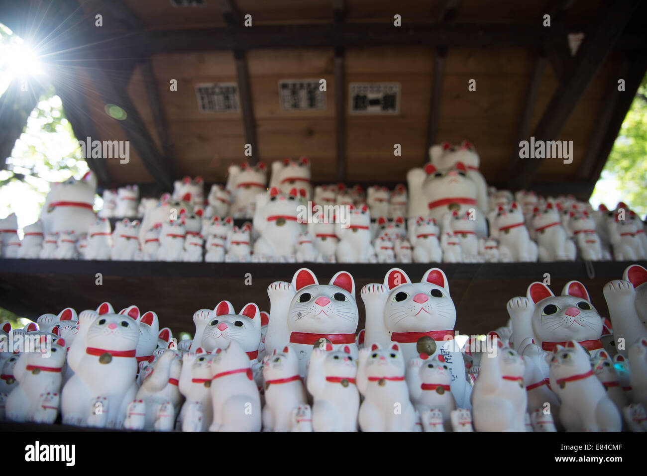 Maneki neko temple hi-res stock photography and images - Alamy
