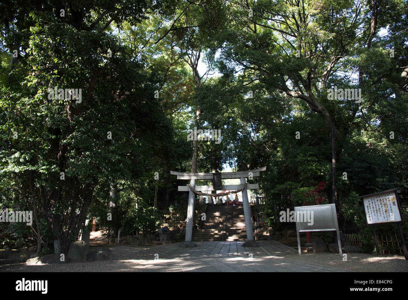 Setagaya Hachimangu shrine,Setagaya,Tokyo,Japan Stock Photo - Alamy