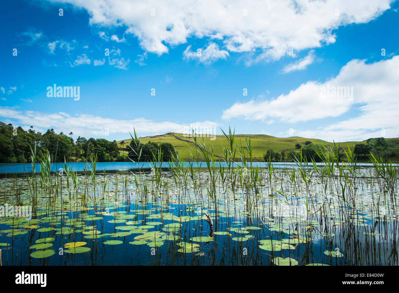 Bigland hi-res stock photography and images - Alamy