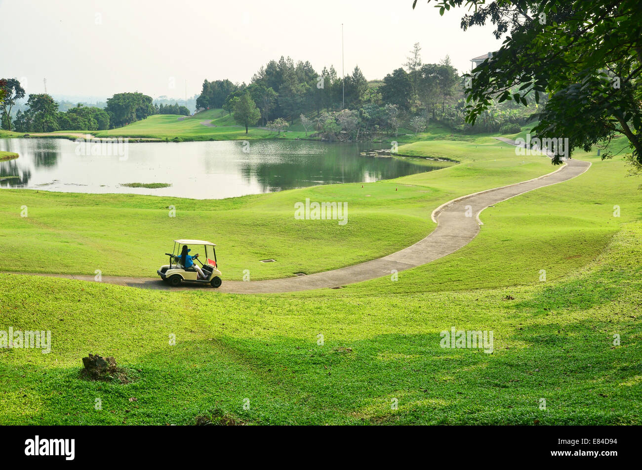 Caddy park hi-res stock photography and images - Alamy