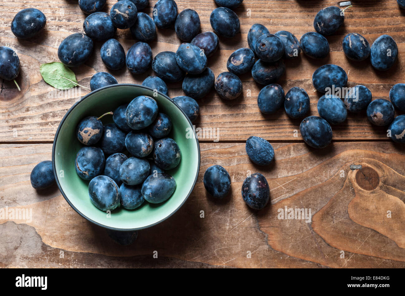 Autumn harvest of Damson Fruit Stock Photo - Alamy