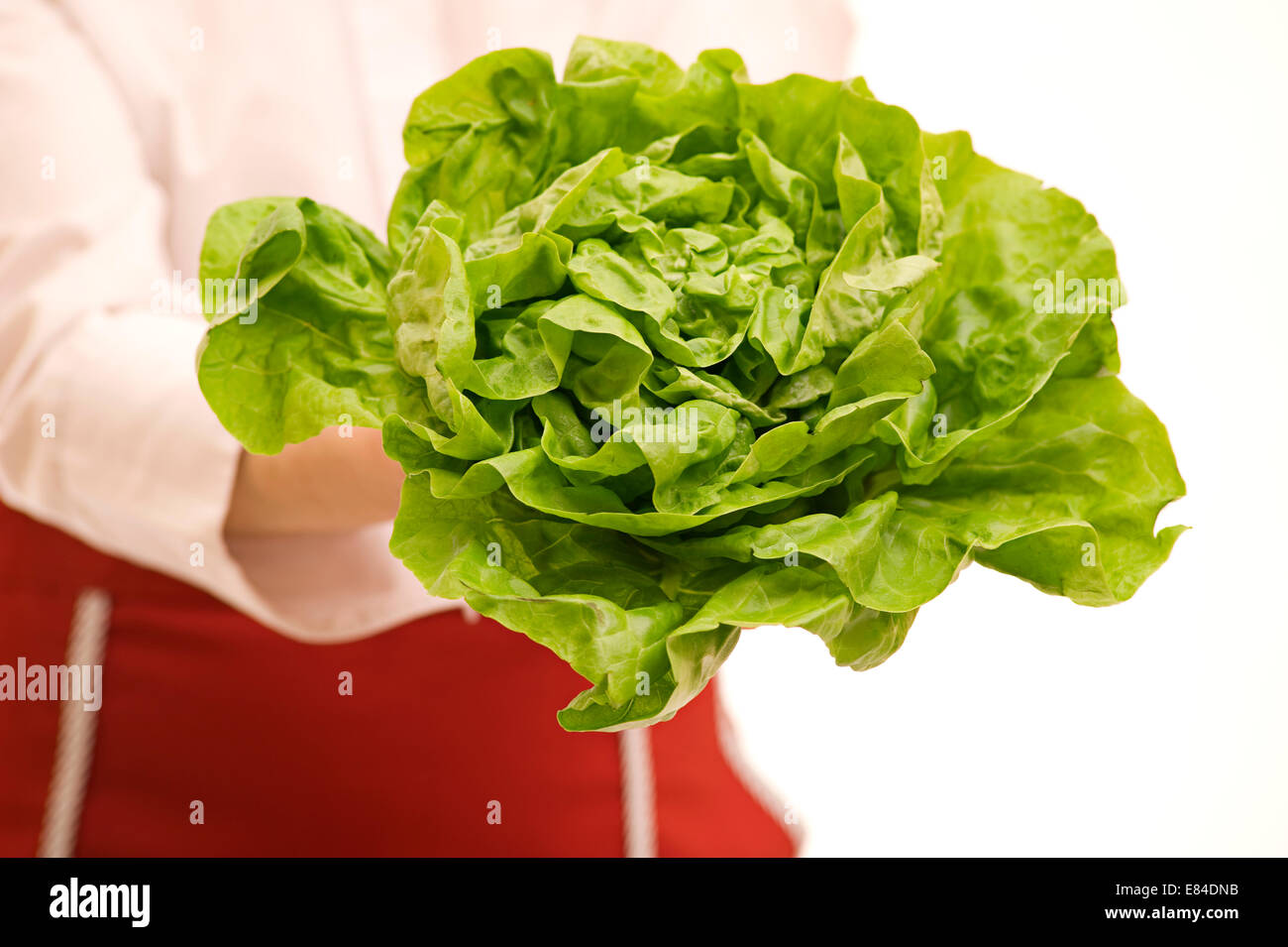 Human hand holding lettuce Stock Photo - Alamy