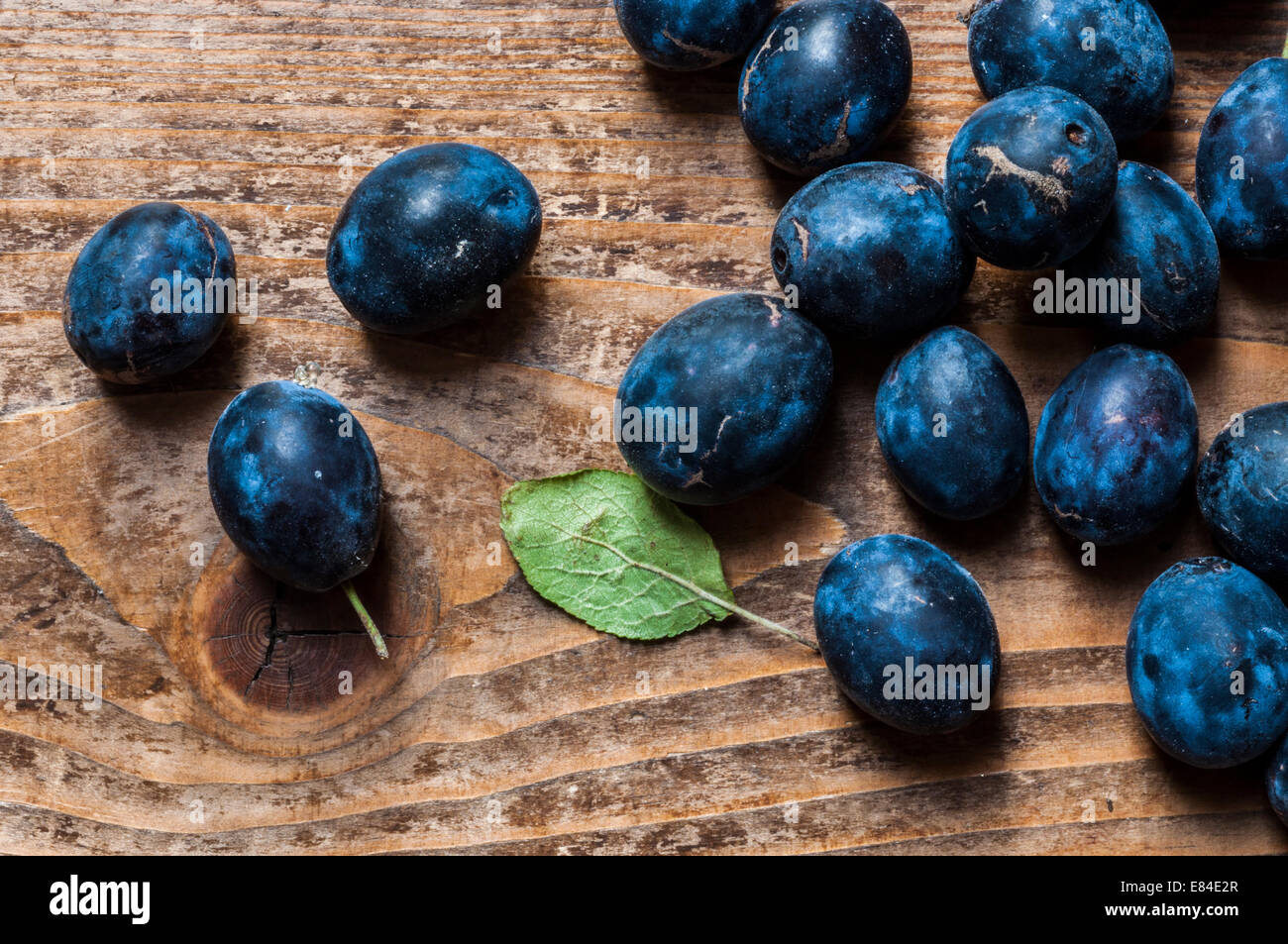 Autumn harvest of Damson Fruit Stock Photo - Alamy