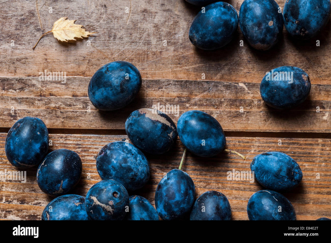 Autumn harvest of Damson Fruit Stock Photo - Alamy