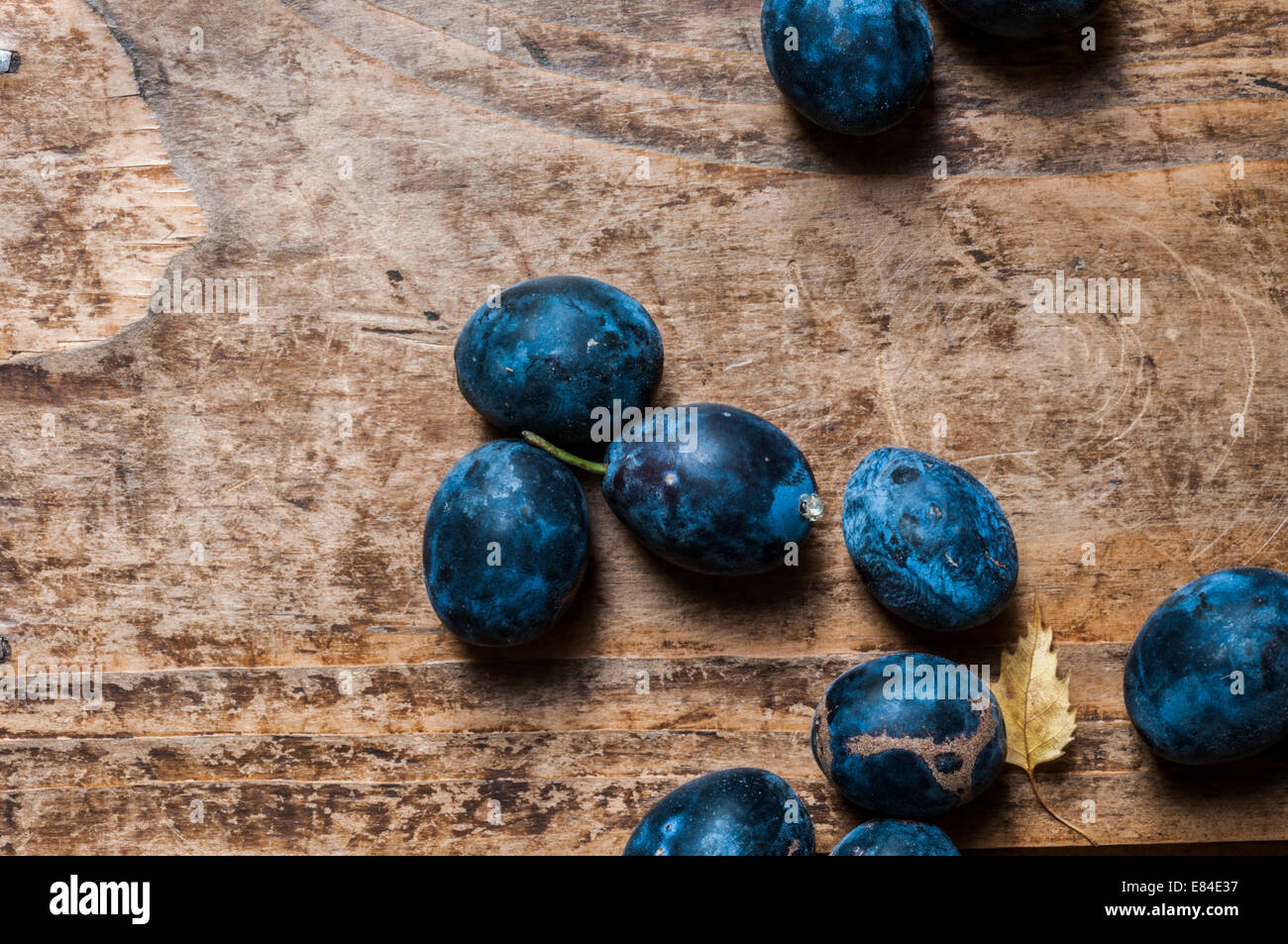 Autumn harvest of Damson Fruit Stock Photo - Alamy