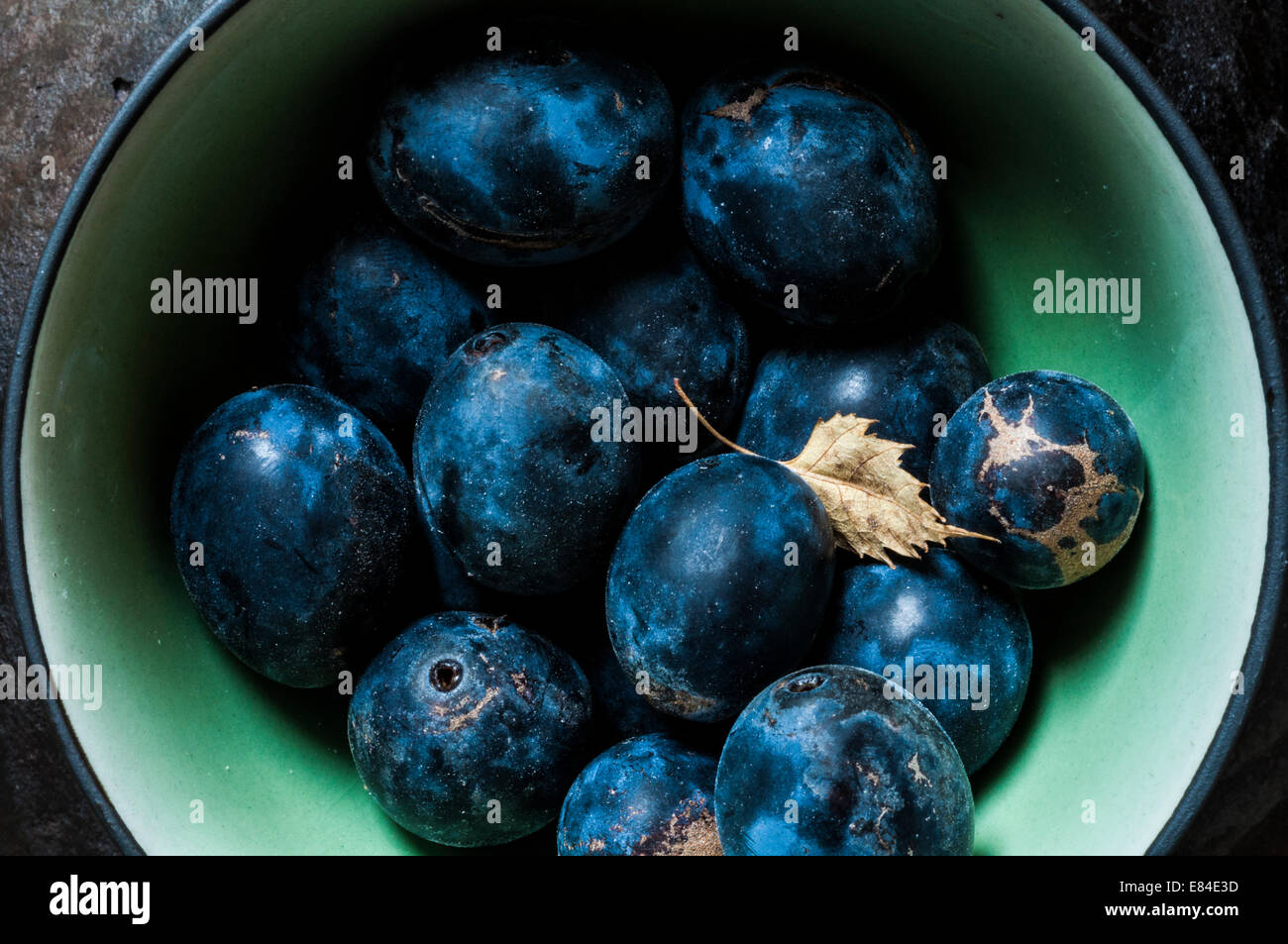 Autumn harvest of Damson Fruit Stock Photo - Alamy