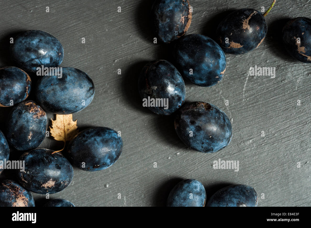 Autumn harvest of Damson Fruit Stock Photo - Alamy