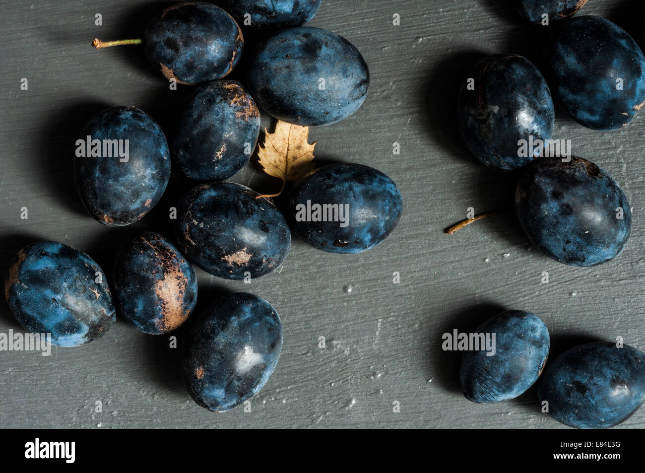 Autumn harvest of Damson Fruit Stock Photo - Alamy