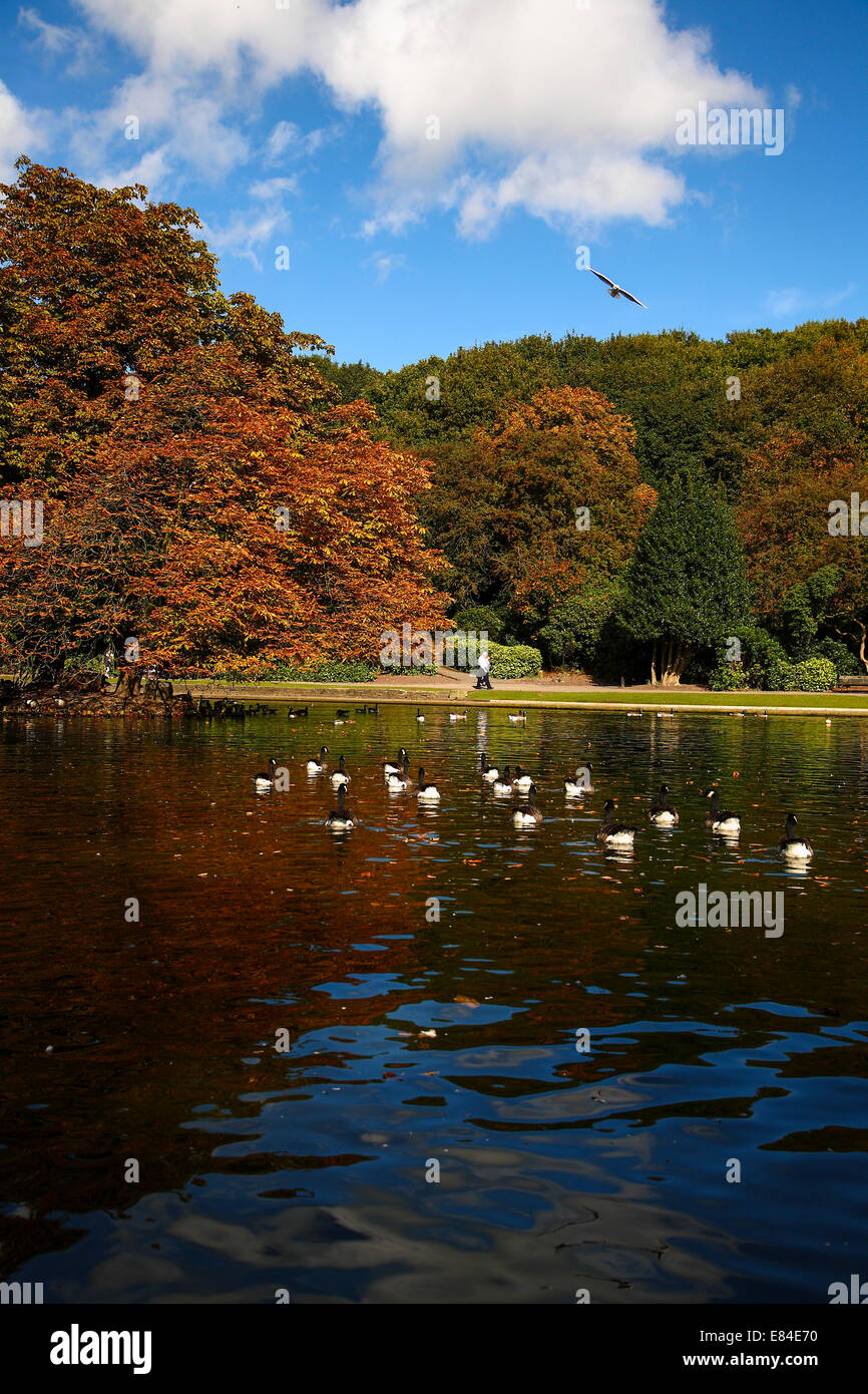 Batley park, West Yorkshire in Autumn Stock Photo - Alamy