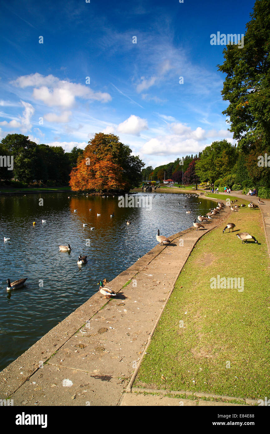 Batley park, West Yorkshire in Autumn Stock Photo - Alamy
