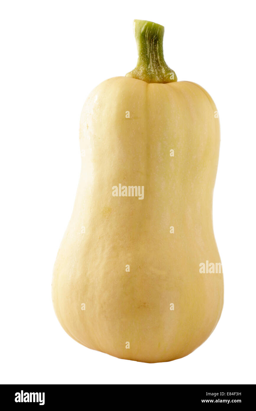 Single squash hi-res stock photography and images - Alamy