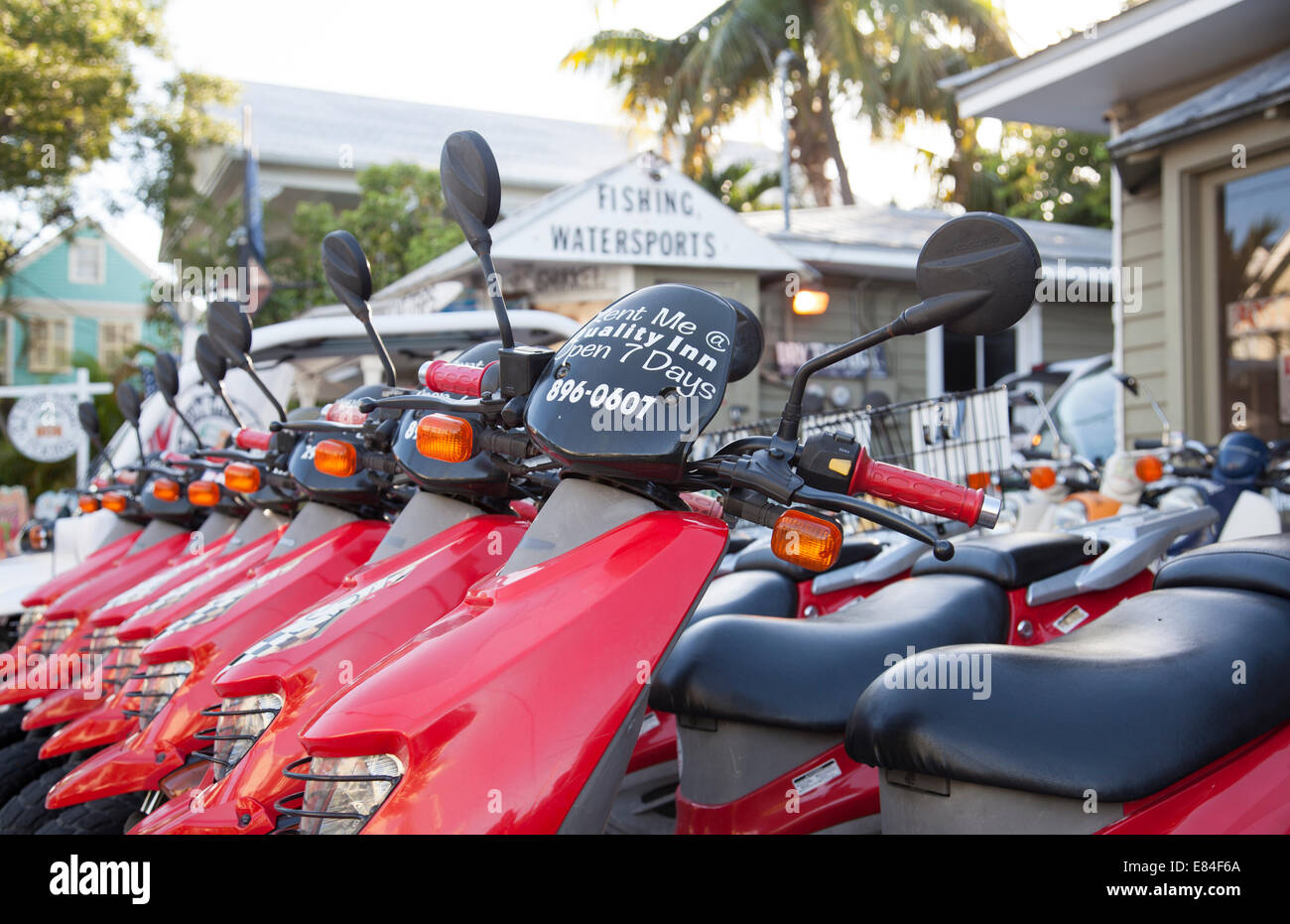 Red mopeds and scooter for rent in Key West the Florida Keys Stock ...