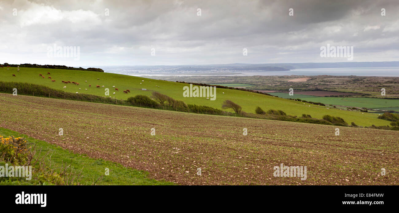 UK, England, Devon, Georgeham, view across farmland to the Bristol ...