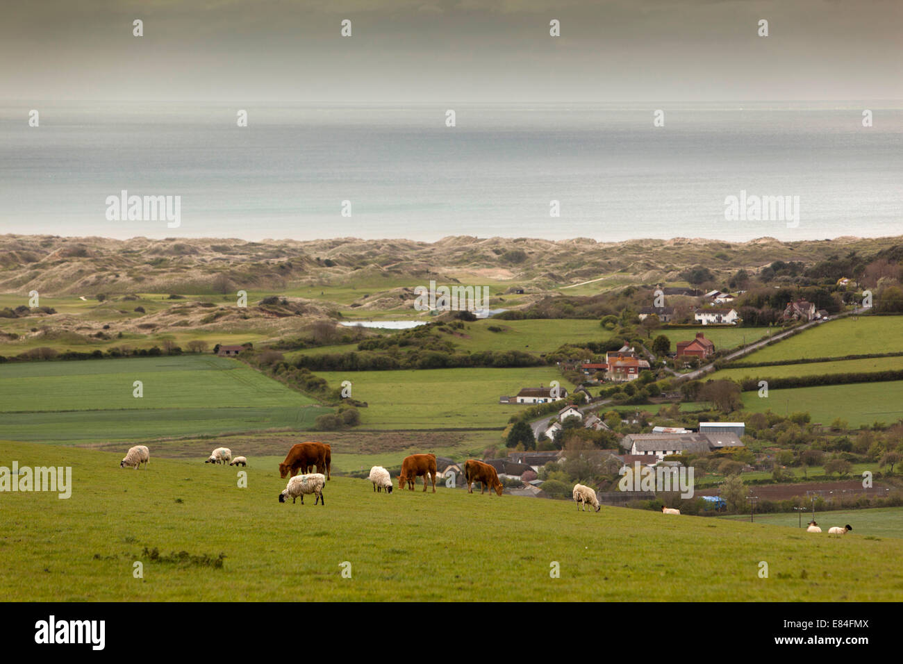 UK, England, Devon, Georgeham, view across farmland to the Bristol ...