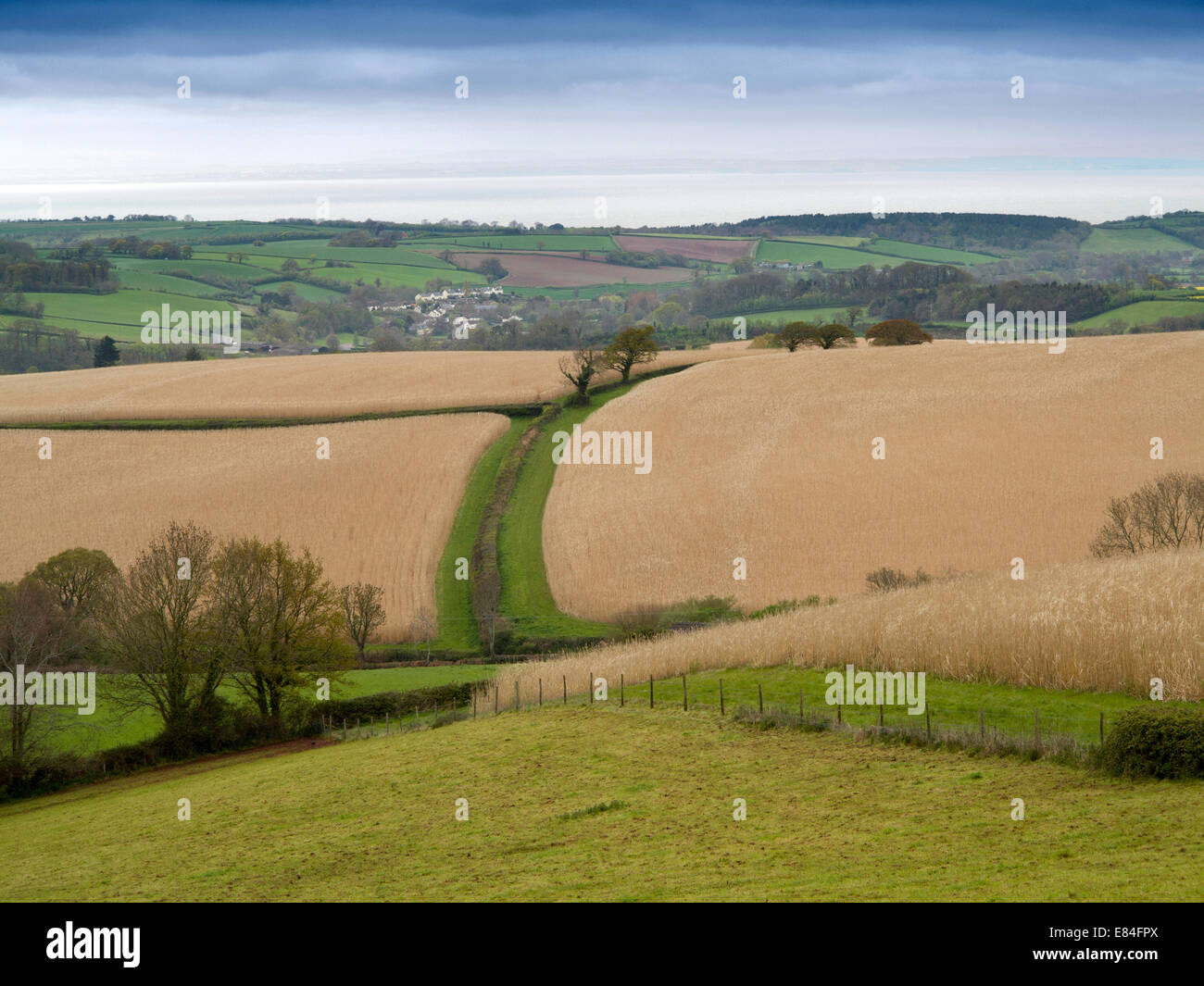 UK, England, Somerset, view across Bristol Channel from Bird’s Hill ...