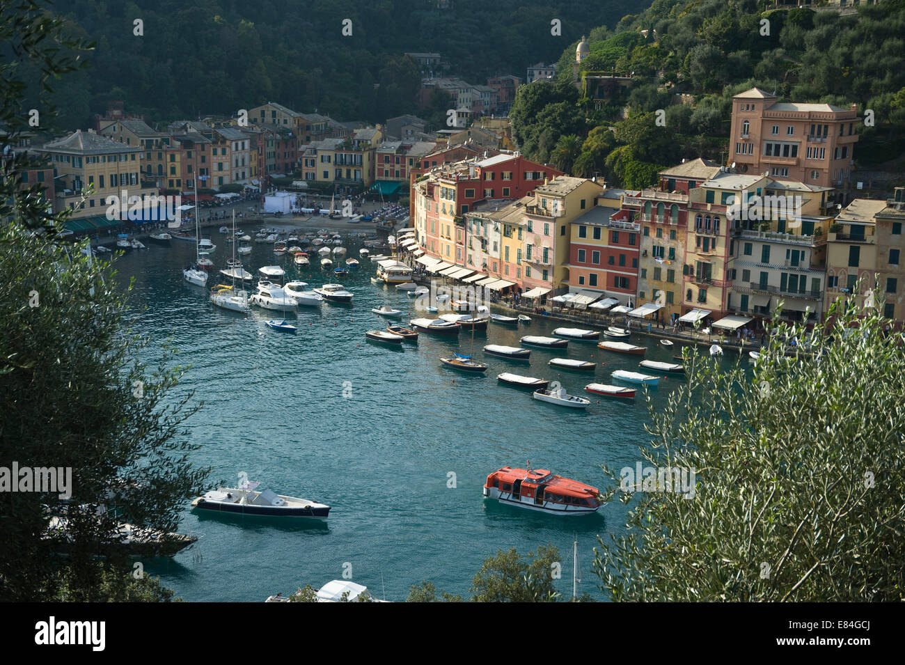 The port of Portofino at the Italian Riviera in Liguria Stock Photo - Alamy